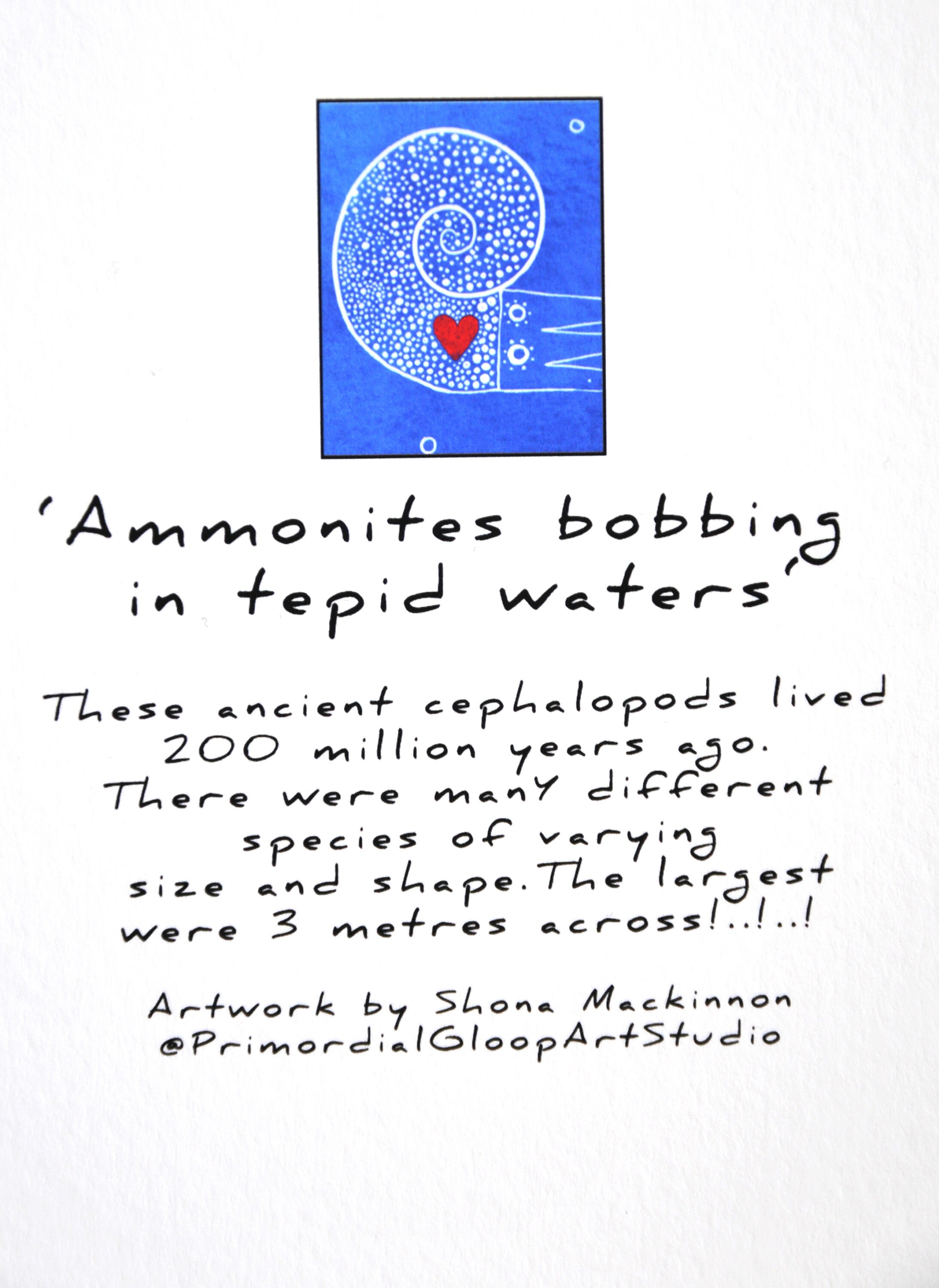 Ammonites Prehistoric Life Artwork 8x10 Print or 7x5 Beautiful and ...