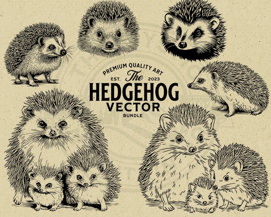 Hedgehog Vector Animal Illustration Bundle, Digital Download, Cut File ...