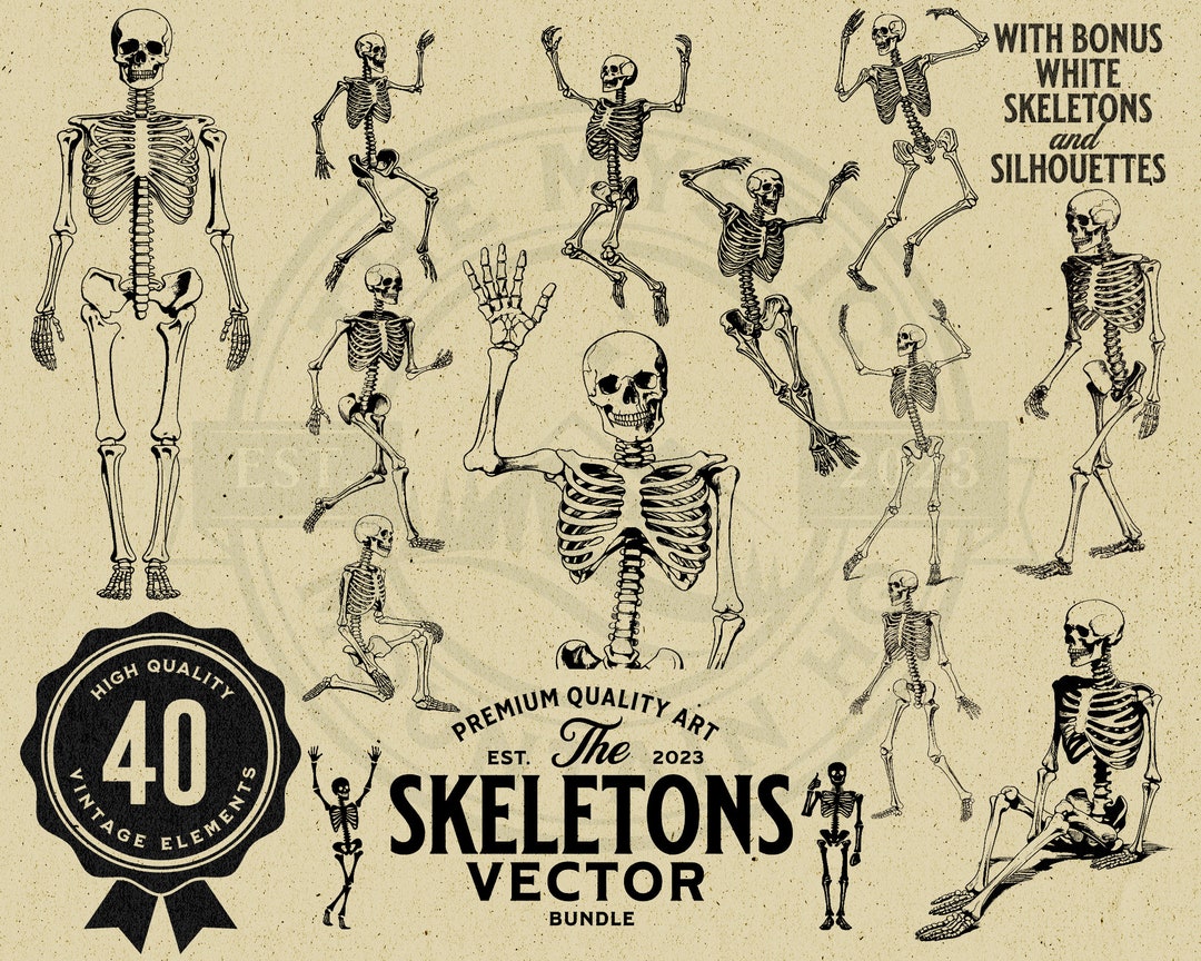 Skeleton Vintage Vector Illustration Bundle for Halloween PNG, SVG, EPS ...