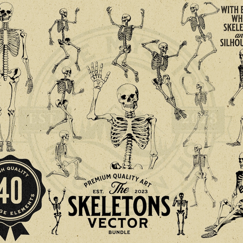 Skeleton Vintage - Etsy