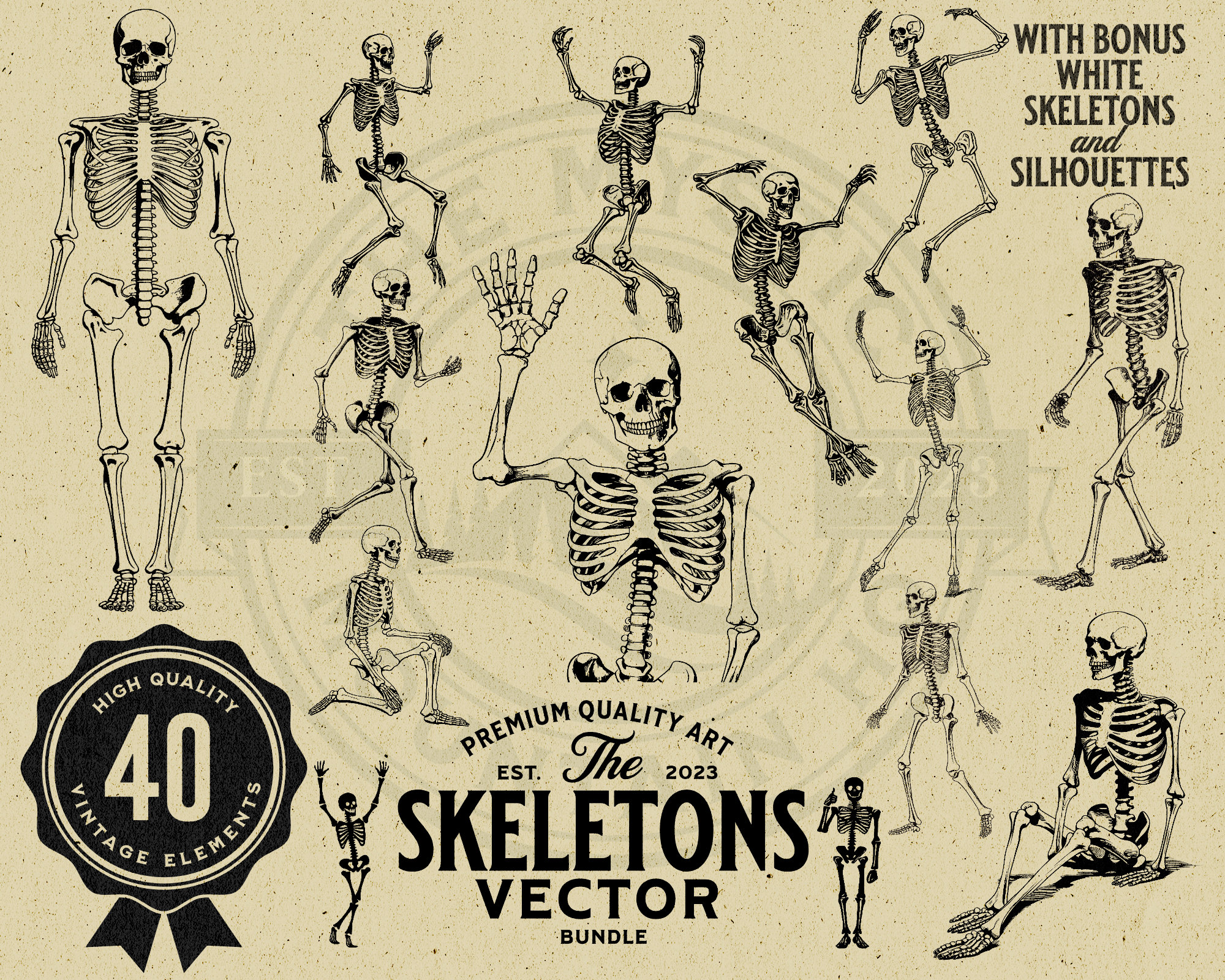 Vintage Skeleton Vector Illustration Bundle, Halloween Graphics ...