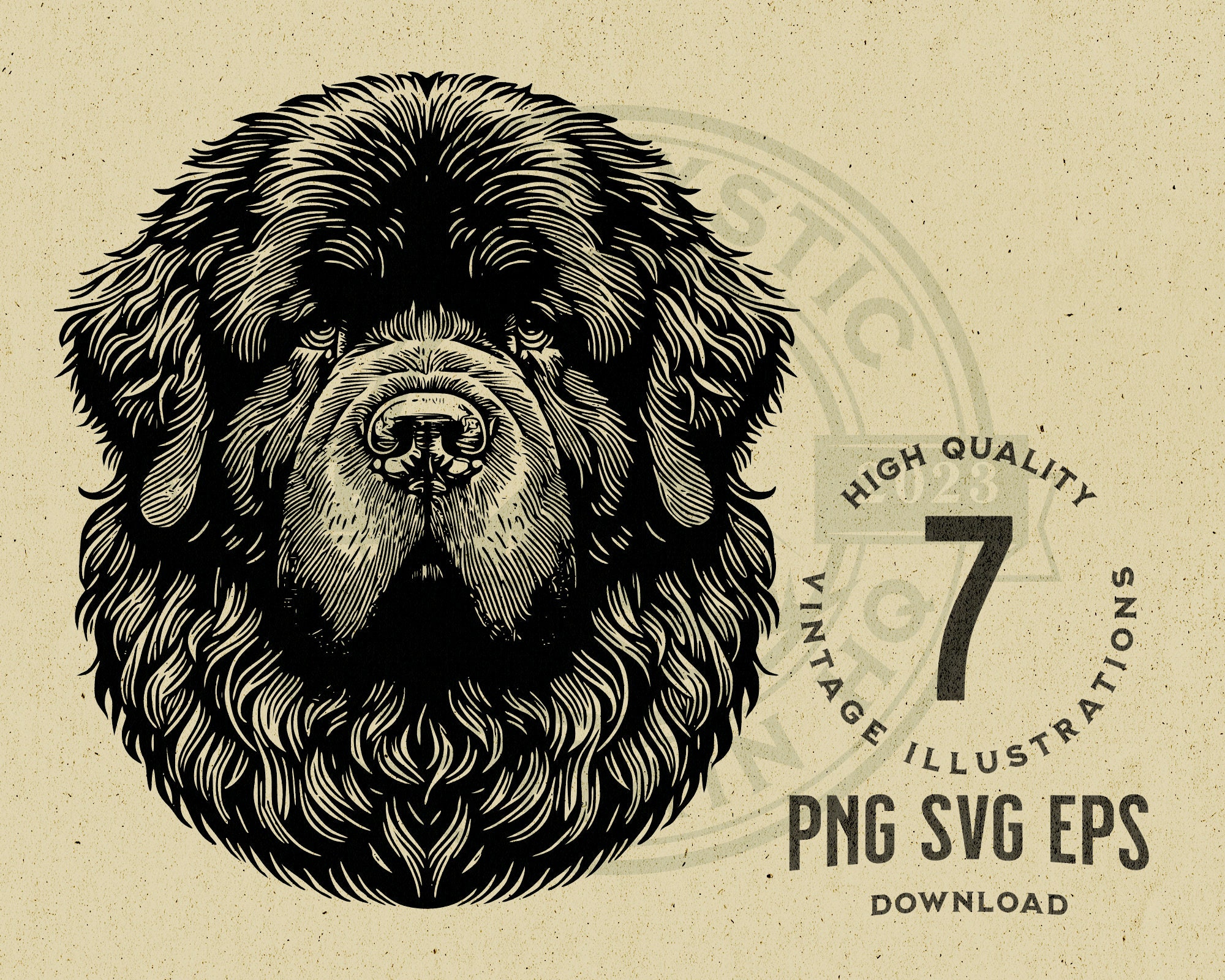 Newfoundland Dog Vector Art Illustration Bundle (digital Download) - Etsy