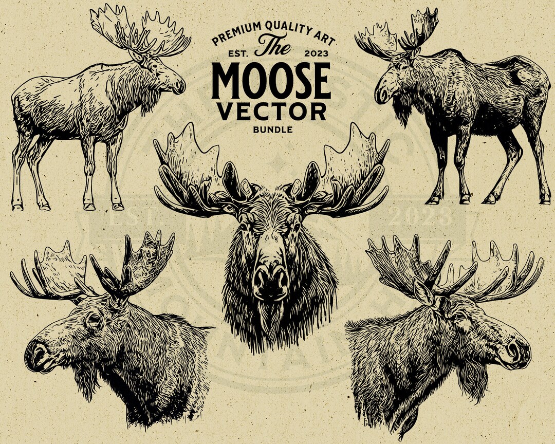 Moose Vector Illustration Bundle, SVG, PNG, EPS, Vintage, Cut File ...