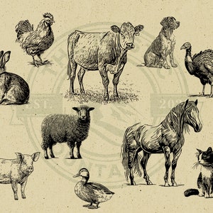 Vintage Farm Animals Illustration Bundle, Vector Art (SVG, PNG) - Etsy