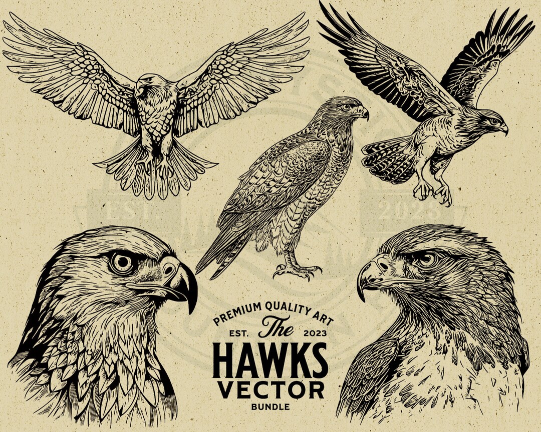 Hawk Vector Animal Illustration Bundle, Digital Download, Cut File, SVG ...