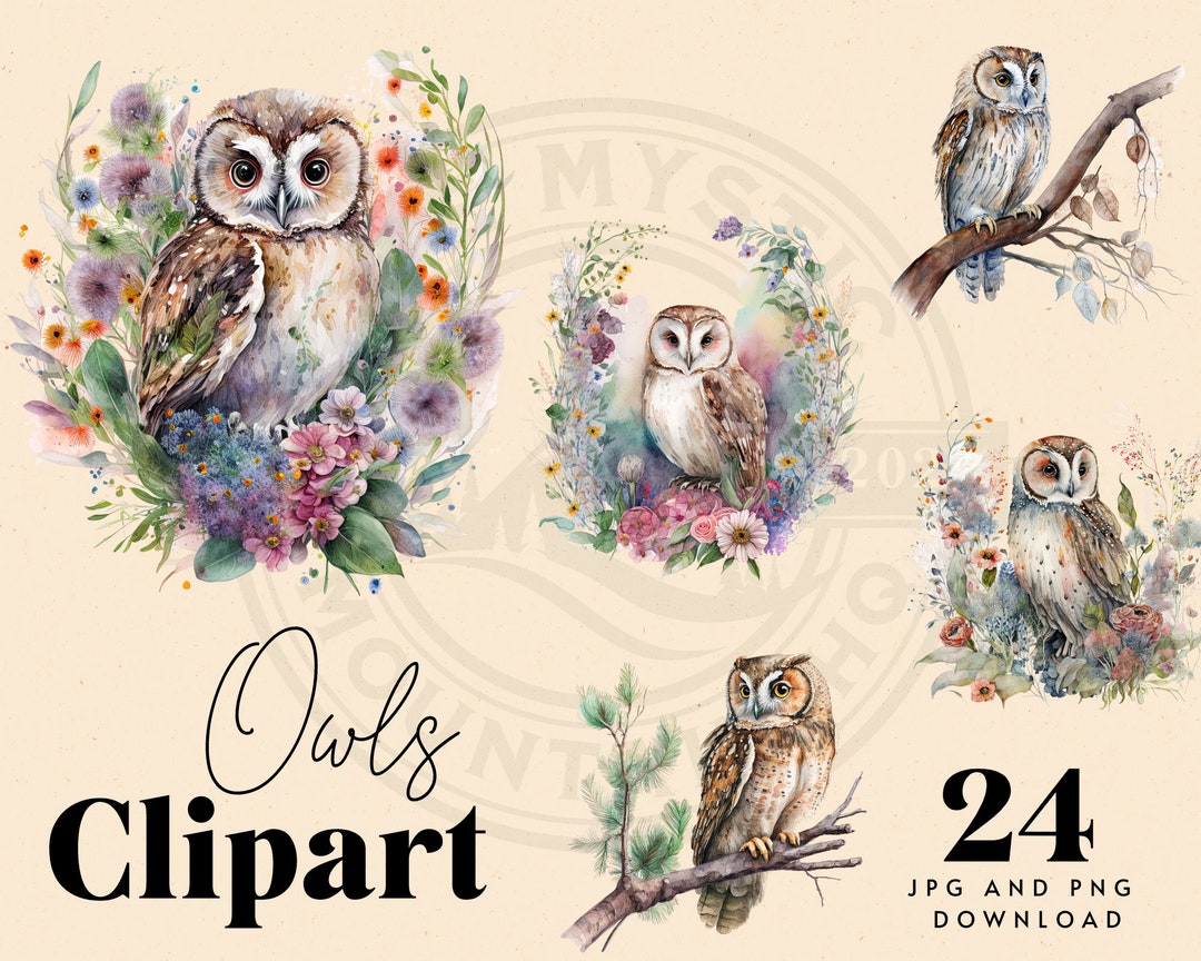 Cute Owl Digital Clipart Illustration Bundle, Nursery Art, Digital and ...