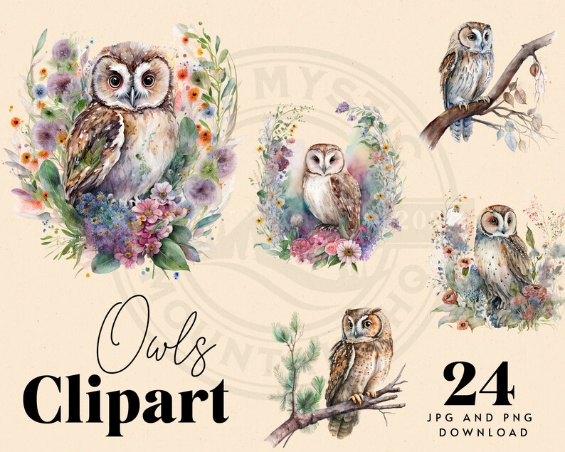 Cute Owl Clipart Bundle, Floral Nursery Art (PNG JPG Set) - Etsy