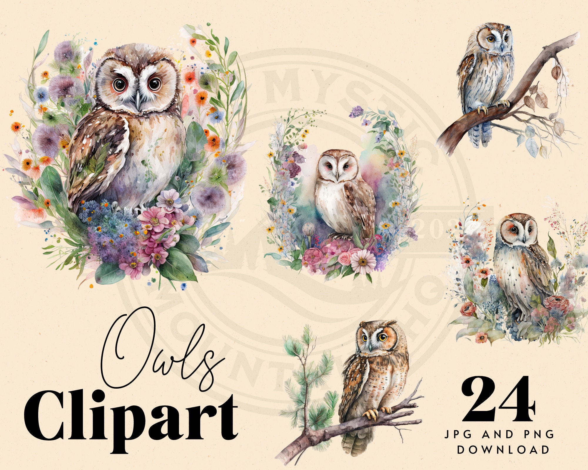 Cute Owl Digital Clipart Illustration Bundle Nursery Art - Etsy