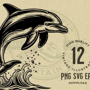 Dolphin SVG, PNG, Vector Illustration Bundle, Instant Digital Download ...