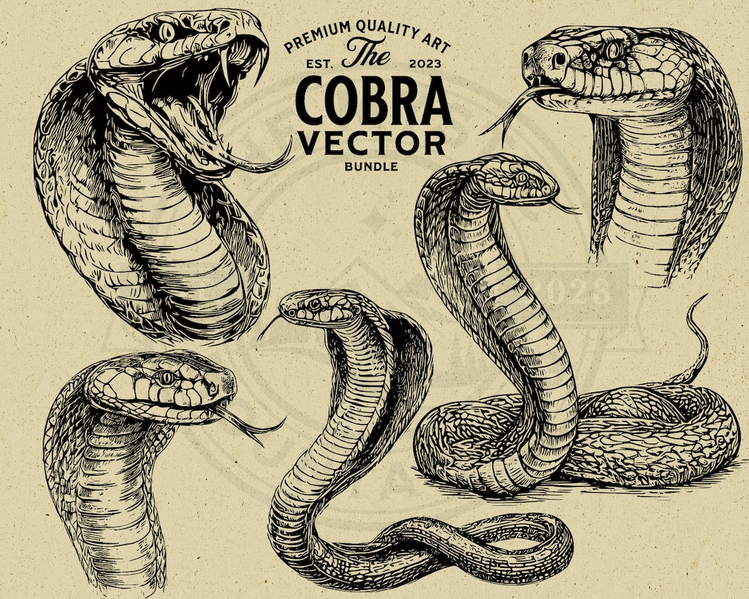 Cobra Snake Vector Animal Illustration Bundle, Vintage, Cut File, SVG ...