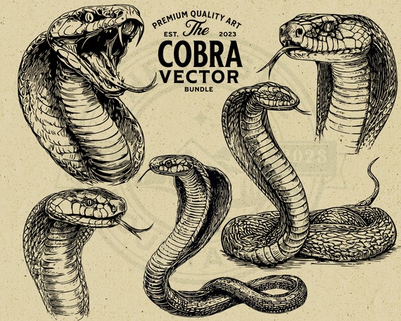 Cobra Snake Art