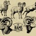 Ram Vector Animal Illustration Bundle, SVG, PNG, Instant Download ...