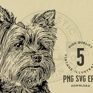Yorkshire Terrier Vector Art Illustration Bundle (digital Download) - Etsy