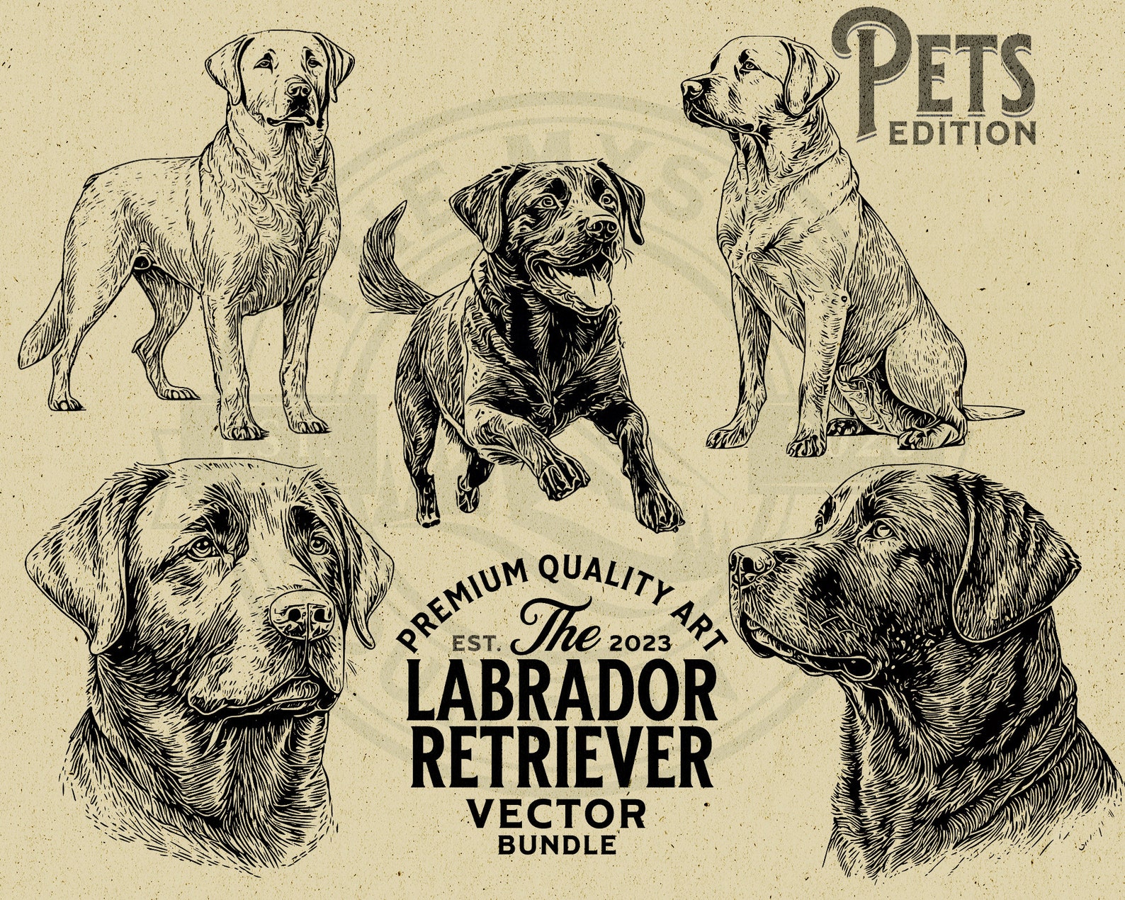 Labrador Retriever Vector Illustration Bundle, Dog Art (digital ...