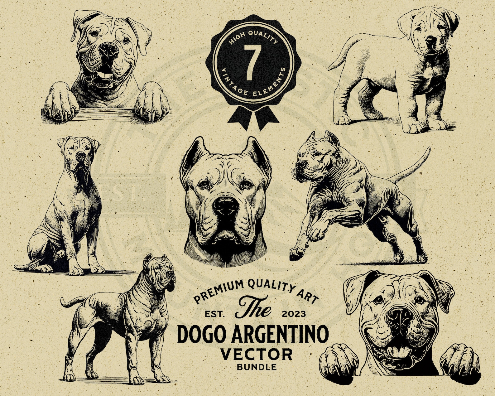 Dogo Argentino Vector Art, Puppy & Peeking Dog Bundle (digital Download ...