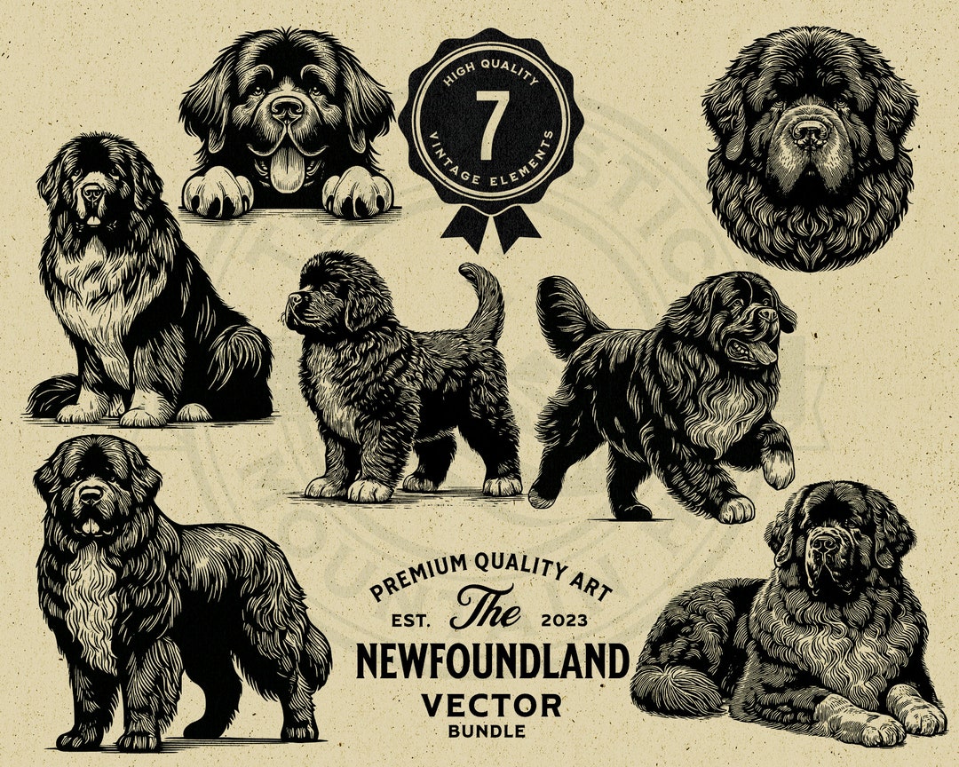 Newfoundland Dog Vector Art Illustration Bundle (digital Download) - Etsy