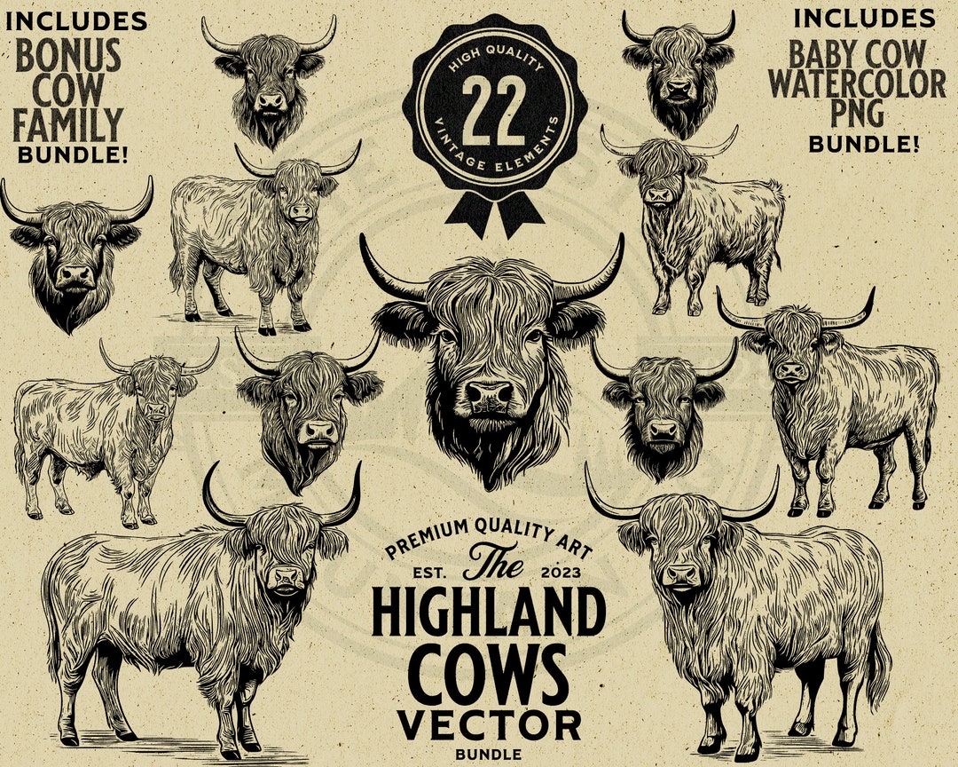 Vintage Highland Cow Vector Illustration Bundle (PNG, SVG, EPS) - Etsy