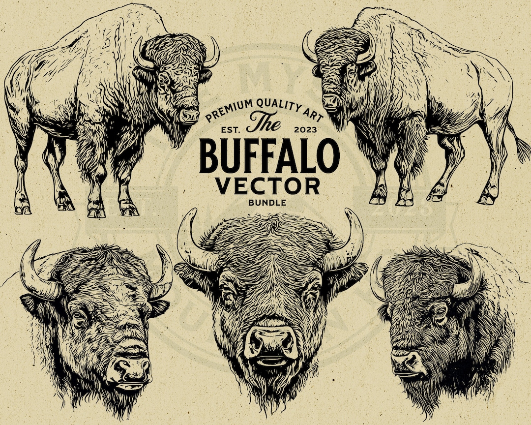 Buffalo Vector Animal Illustration Bundle, Vintage, Cut File, SVG, PNG ...