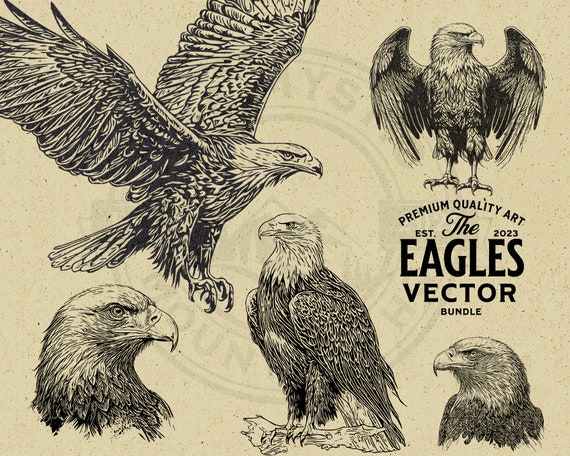 American Bald Eagle Vector