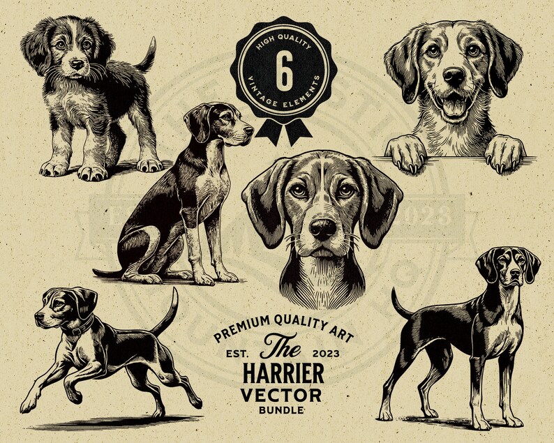 Harrier Dog Vector Art Bundle, Puppy, Peeking Dog (digital Download) - Etsy