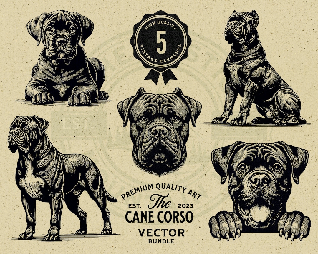 Cane Corso Pet Dog, Puppy, and Peeking Dog Design Bundle, SVG, PNG ...