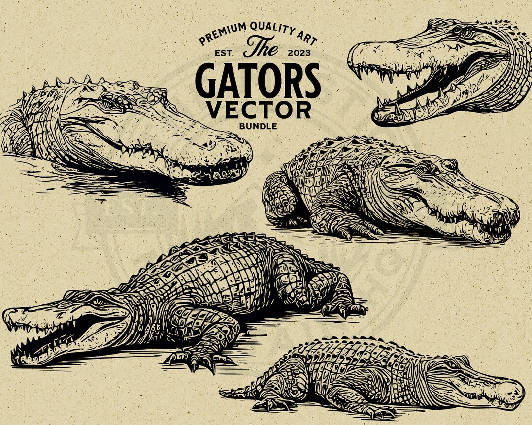 American Alligator Vector Animal Illustration Bundle, Vintage, Cut File ...