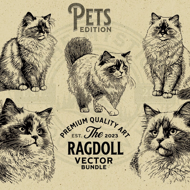 Vintage Ragdoll Cat Art - Etsy UK