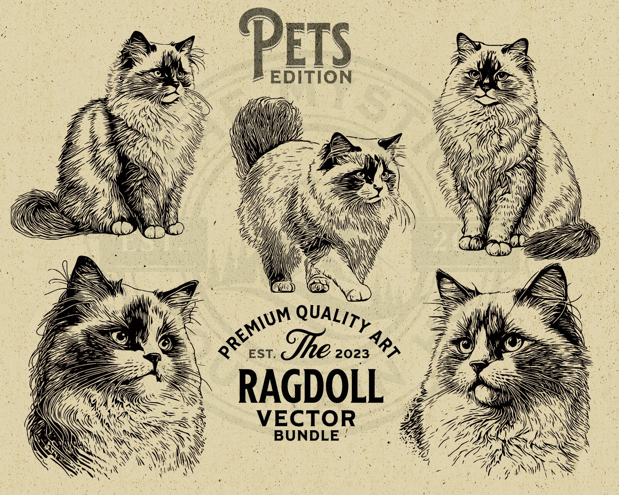 Ragdoll Cat Vector Illustration Bundle, SVG, PNG (digital Download) - Etsy
