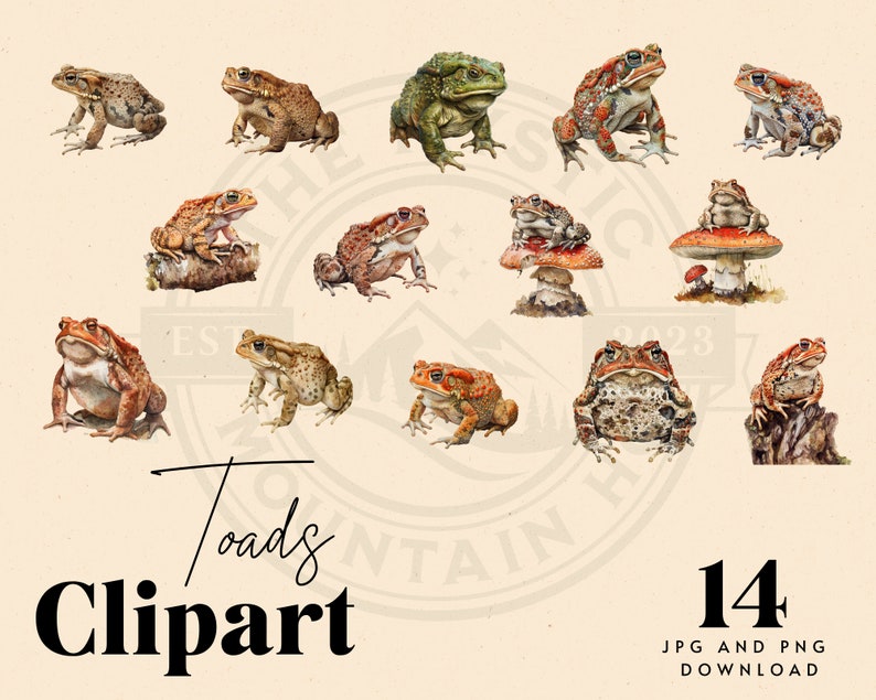 Frog and Toad Clipart, Vintage Design Bundle (PNG, SVG, EPS) - Etsy