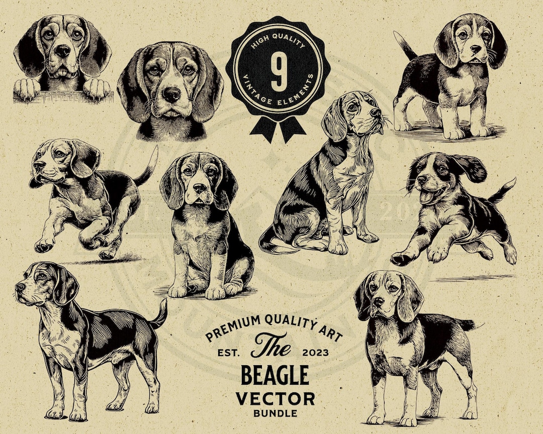Beagle Dog Vector Art Bundle, Puppy & Peeking Design (digital Download ...