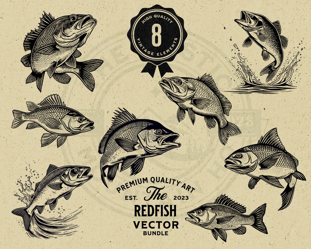 Redfish Red Drum SVG, PNG, Vector Illustration Bundle, Instant Digital ...