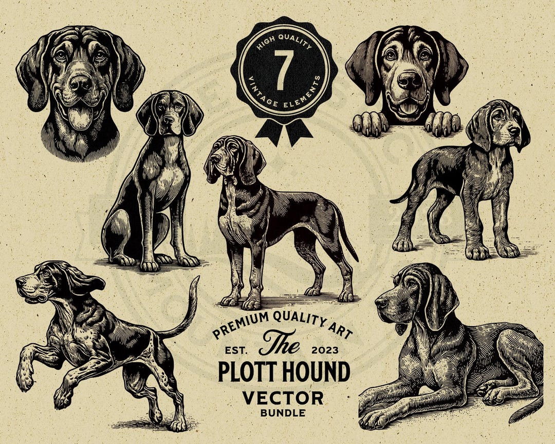 Plott Hound Vector Art Bundle, Dog SVG PNG, Puppy Peeking Design ...