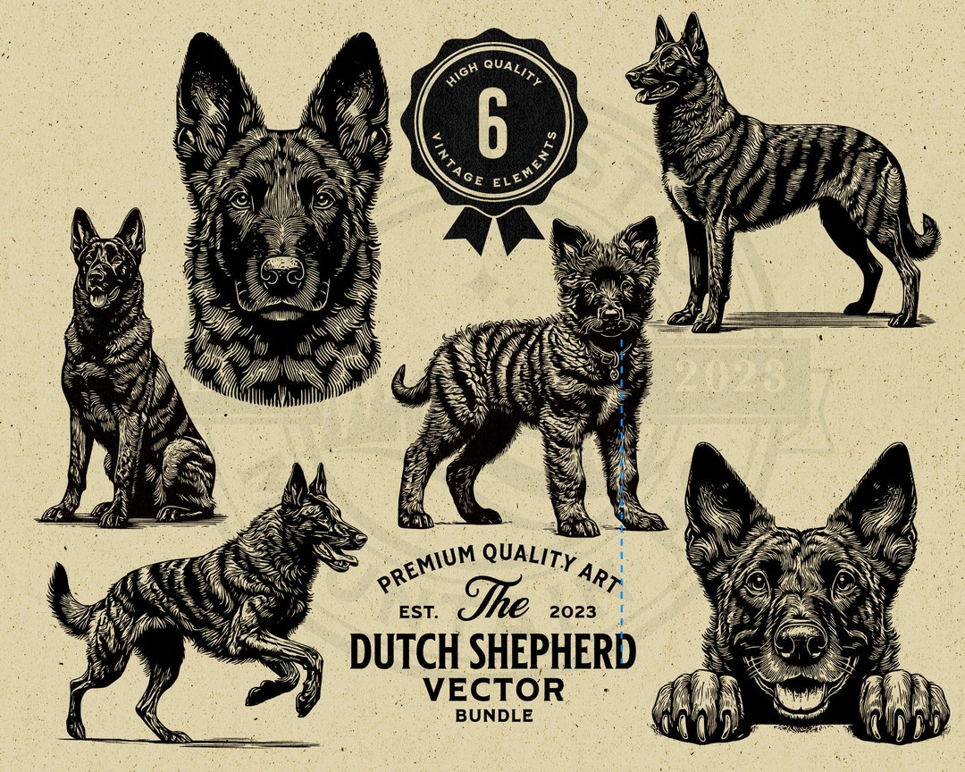Dutch Shepherd Pet Dog, Puppy, and Peeking Dog Design Bundle, SVG, PNG ...