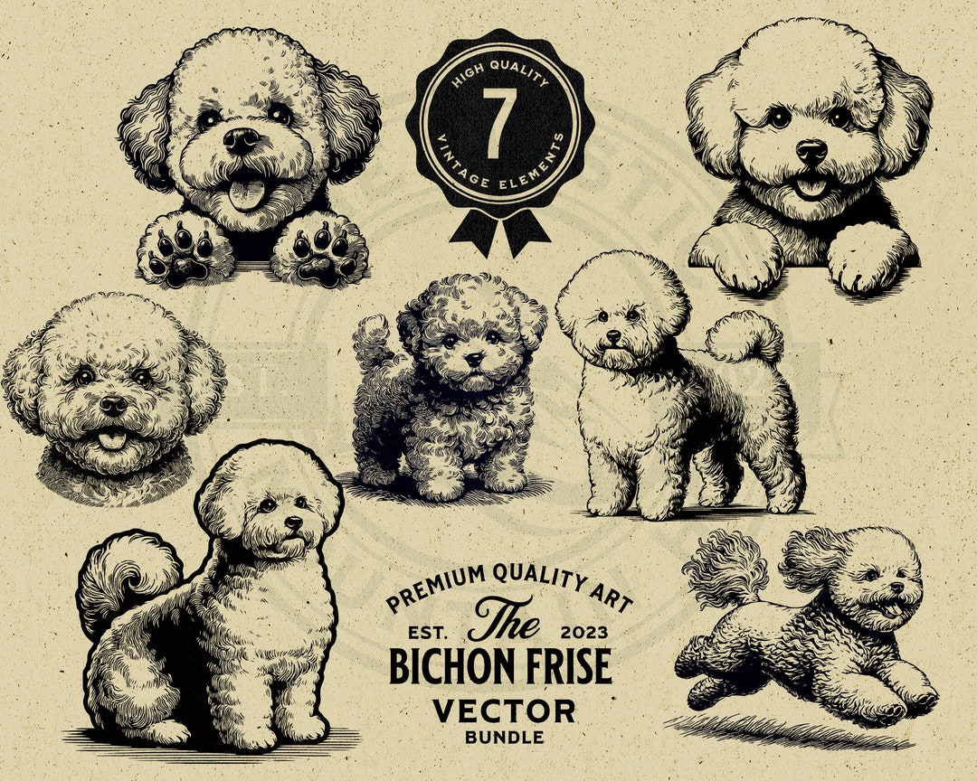 Bichon Frise Pet Dog, Puppy, and Peeking Dog Design Bundle, SVG, PNG ...