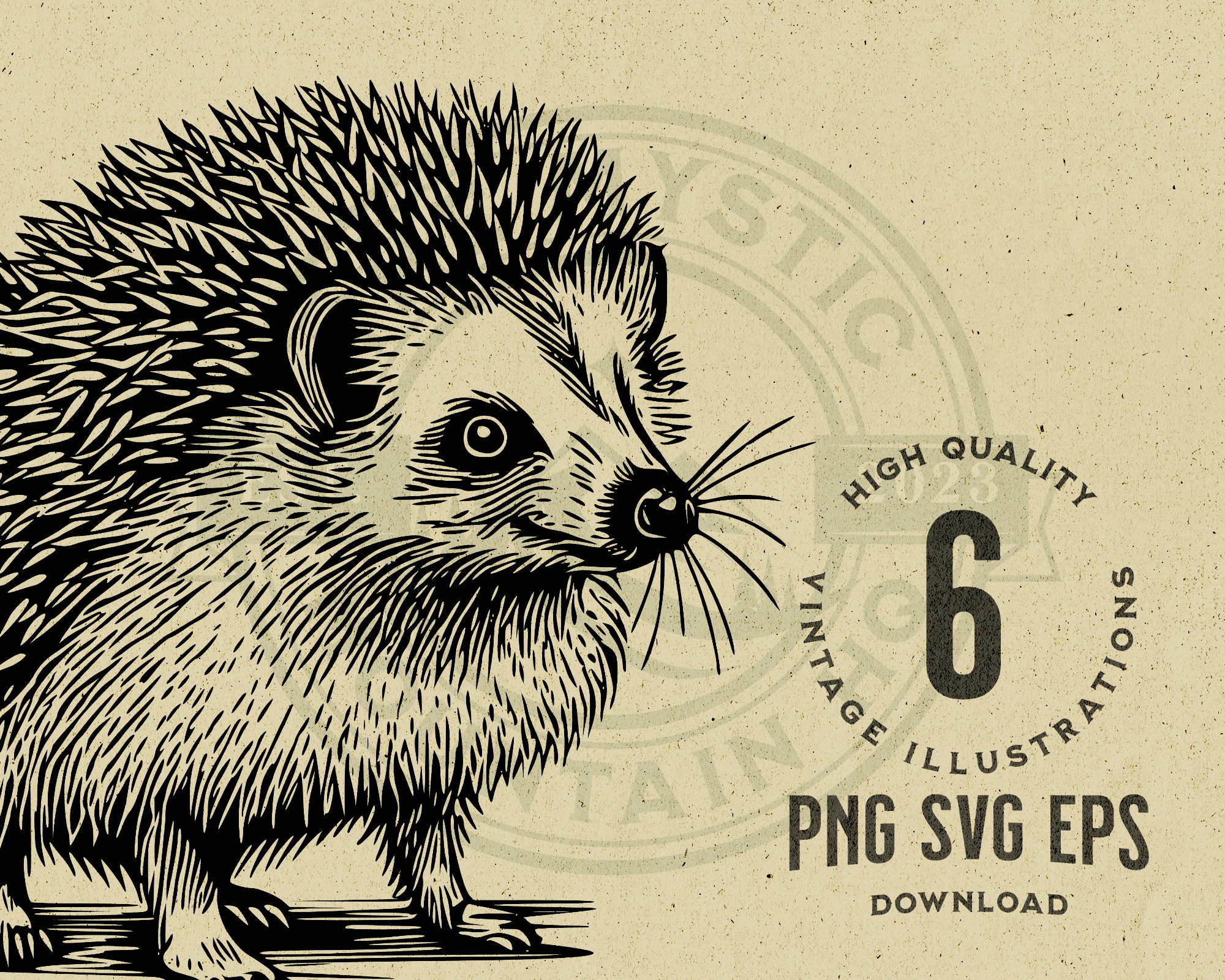 Hedgehog Vector Animal Illustration Bundle Digital Download - Etsy