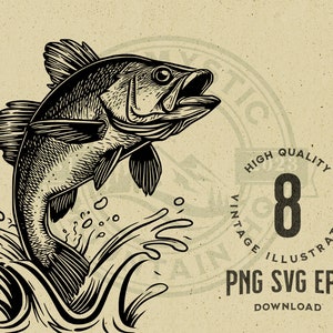 Snapper Fish SVG, PNG, Vector Illustration Bundle, Instant Digital ...