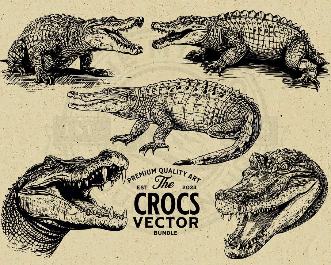 Crocodile Vector Animal Illustration Bundle, Vintage, Cut File, SVG ...