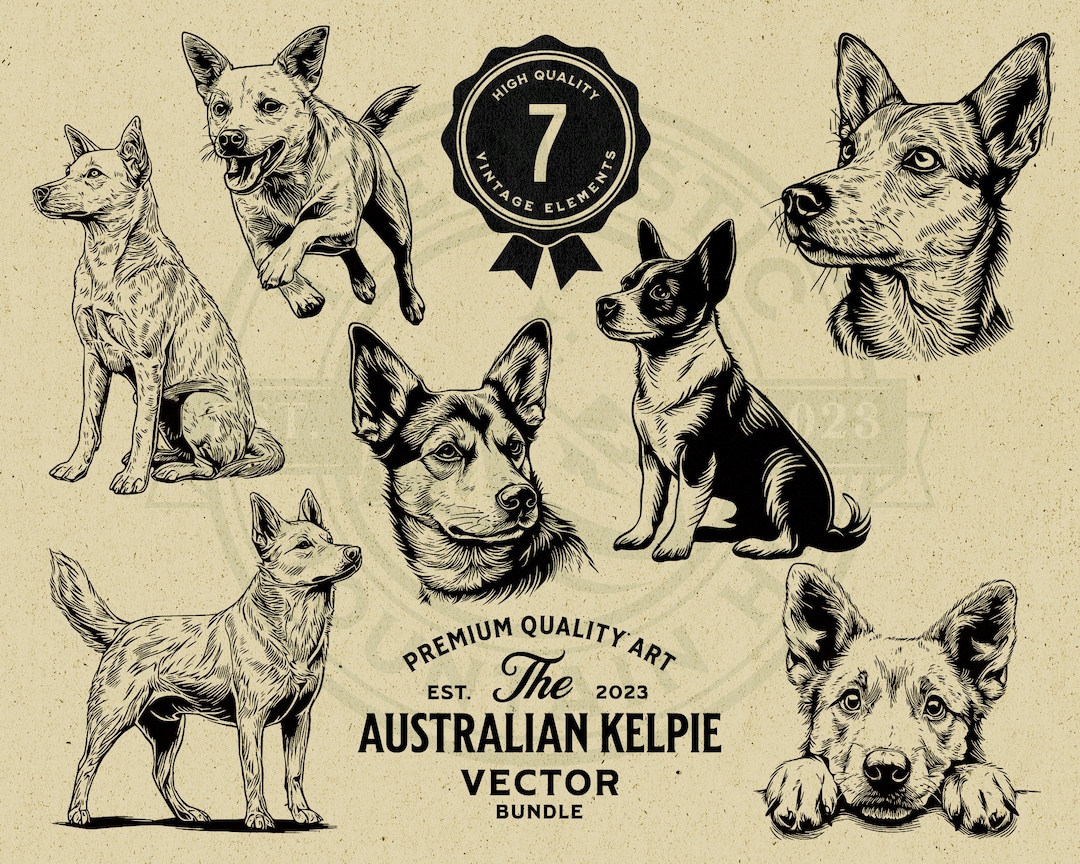 Australian Kelpie Dog Vector Art Bundle (digital Download) - Etsy