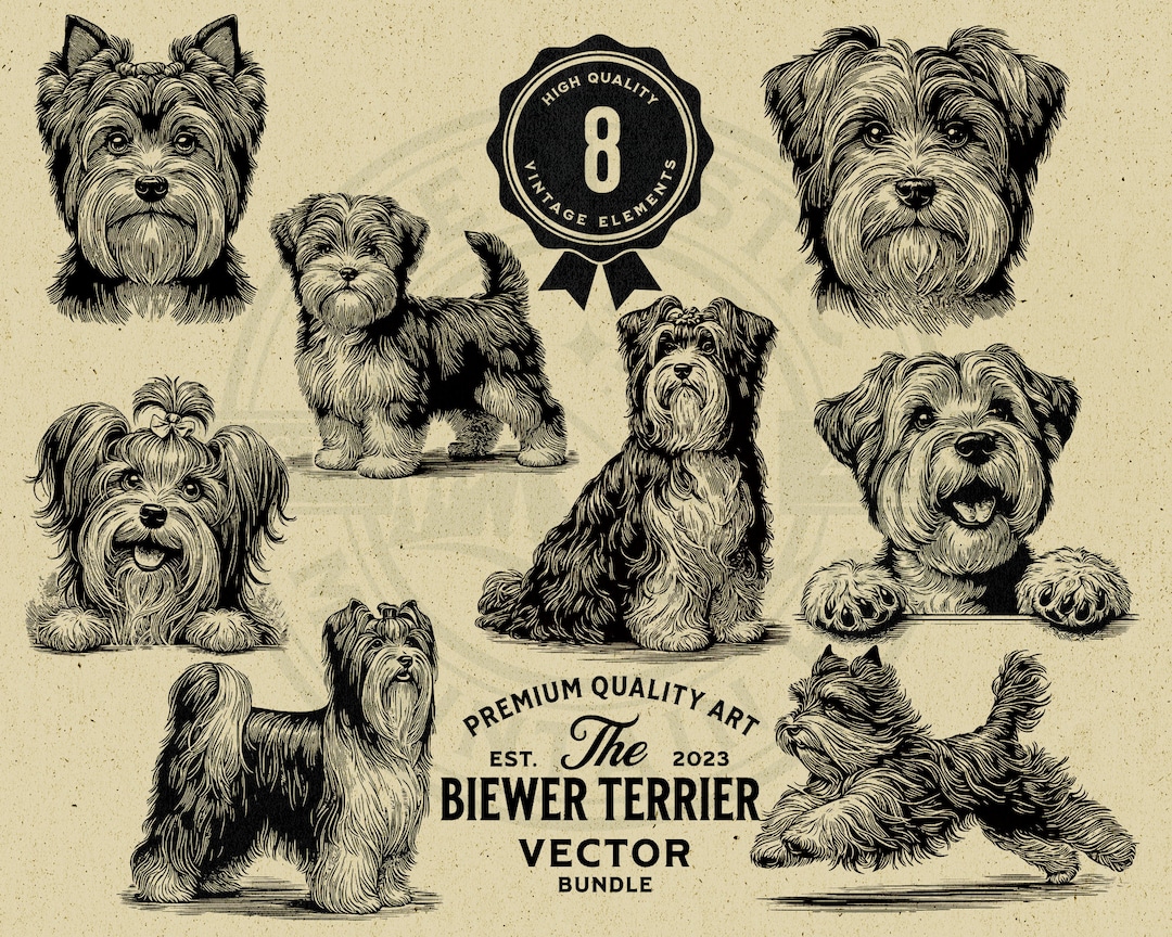 Biewer Terrier Dog Vector Art Bundle, Puppy Peeking Design (digital ...