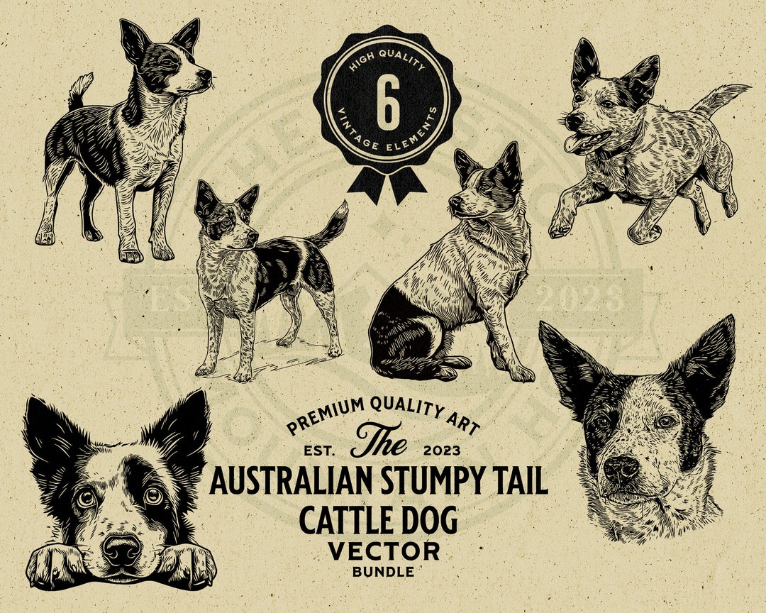 Australian Stumpy Tail Cattle Dog Pet, Puppy, and Peeking Dog Design ...