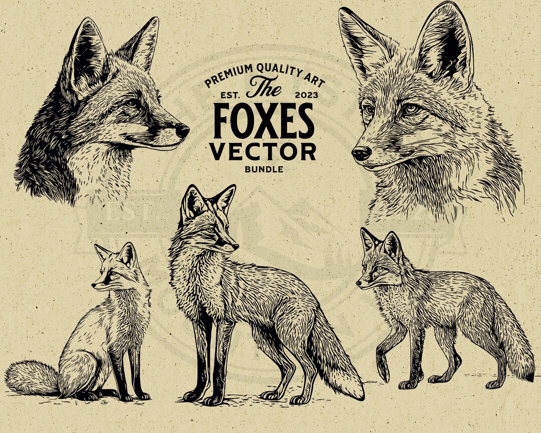 Fox Vector Illustration Bundle, SVG, PNG, Vintage Design, Instant ...