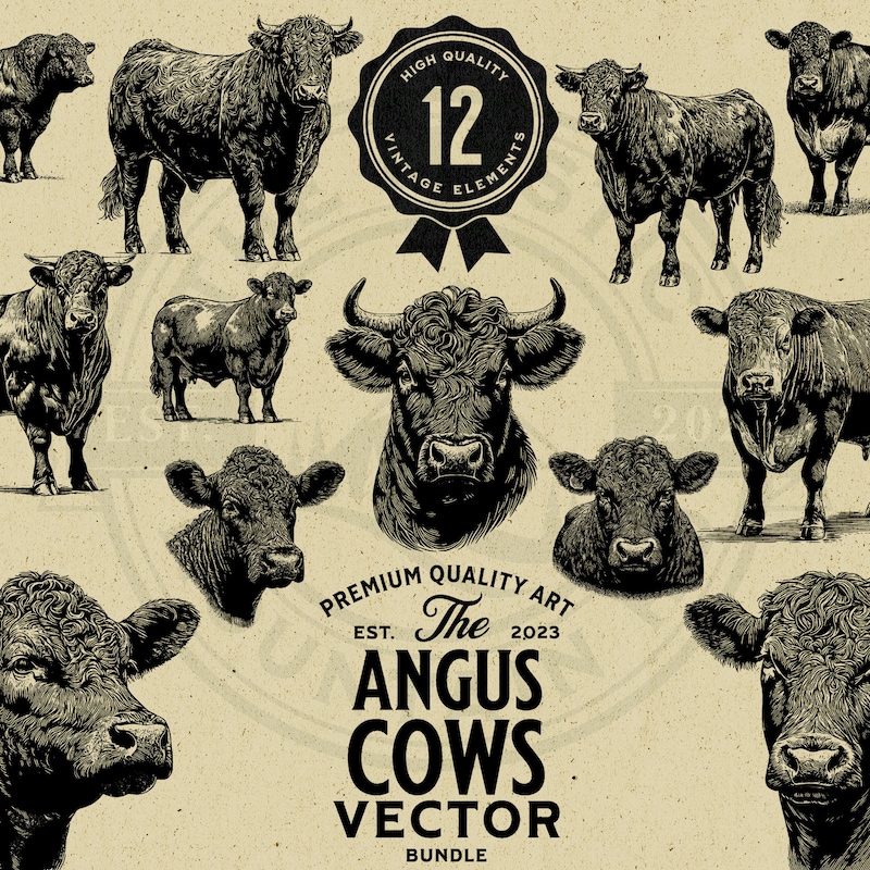 Angus Cattle Canvas - Etsy