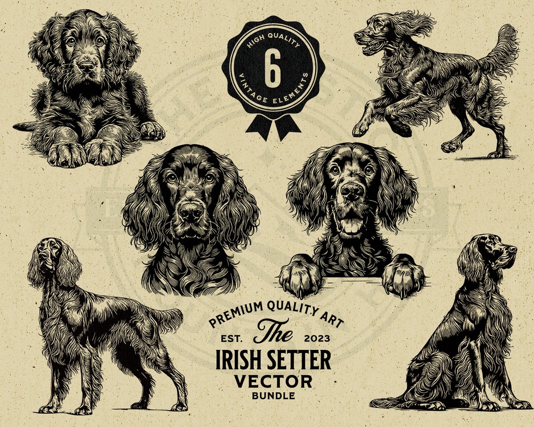 Irish Setter Dog Vector Art Illustration Bundle (digital Download) - Etsy