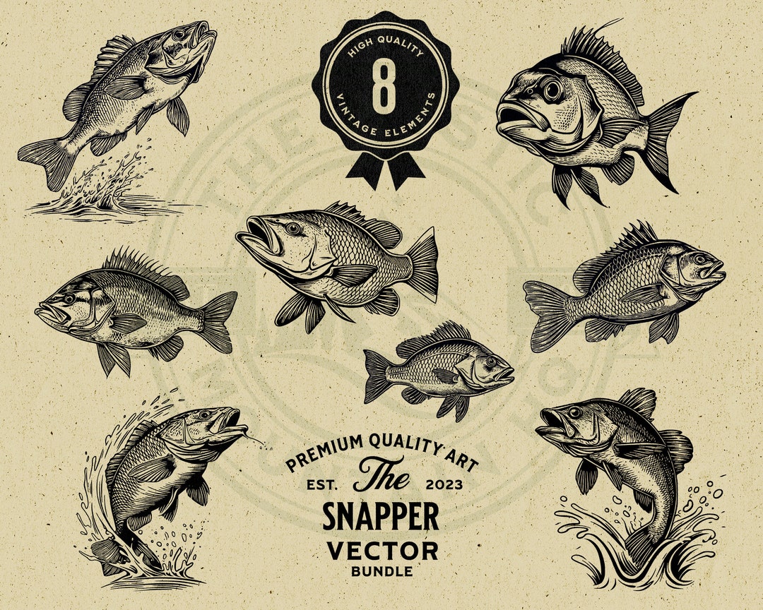 Snapper Fish SVG, PNG, Vector Illustration Bundle, Instant Digital ...