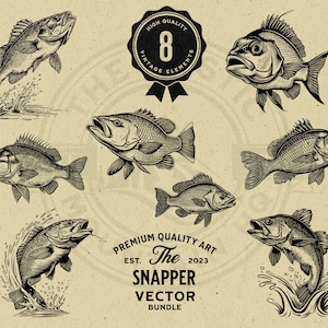 Snapper Fish SVG, PNG, Vector Illustration Bundle, Instant Digital ...