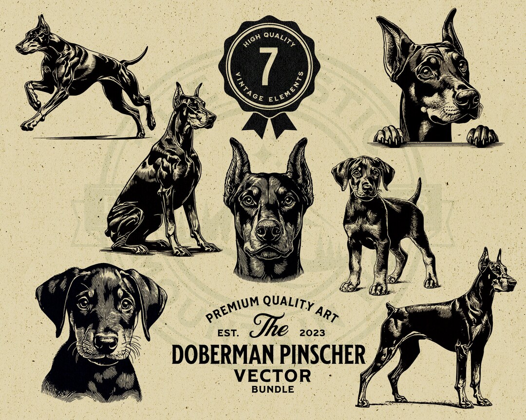 Doberman Pinscher Vector Art Illustration Bundle, Dog Puppy Peeking PNG ...