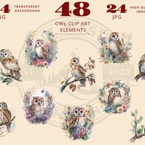 Cute Owl Digital Clipart Illustration Bundle, Nursery Art, Digital and ...