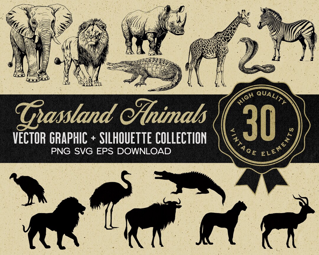 30 Vintage Grassland Wild Animals (15 Illustration + 15 Silhouette ...