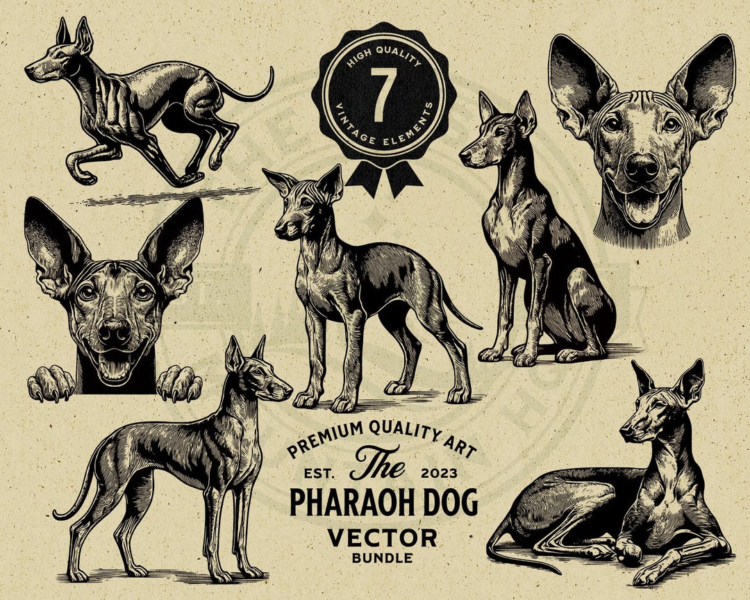 Pharaoh Dog Vector Art Illustration Bundle (digital Download) - Etsy
