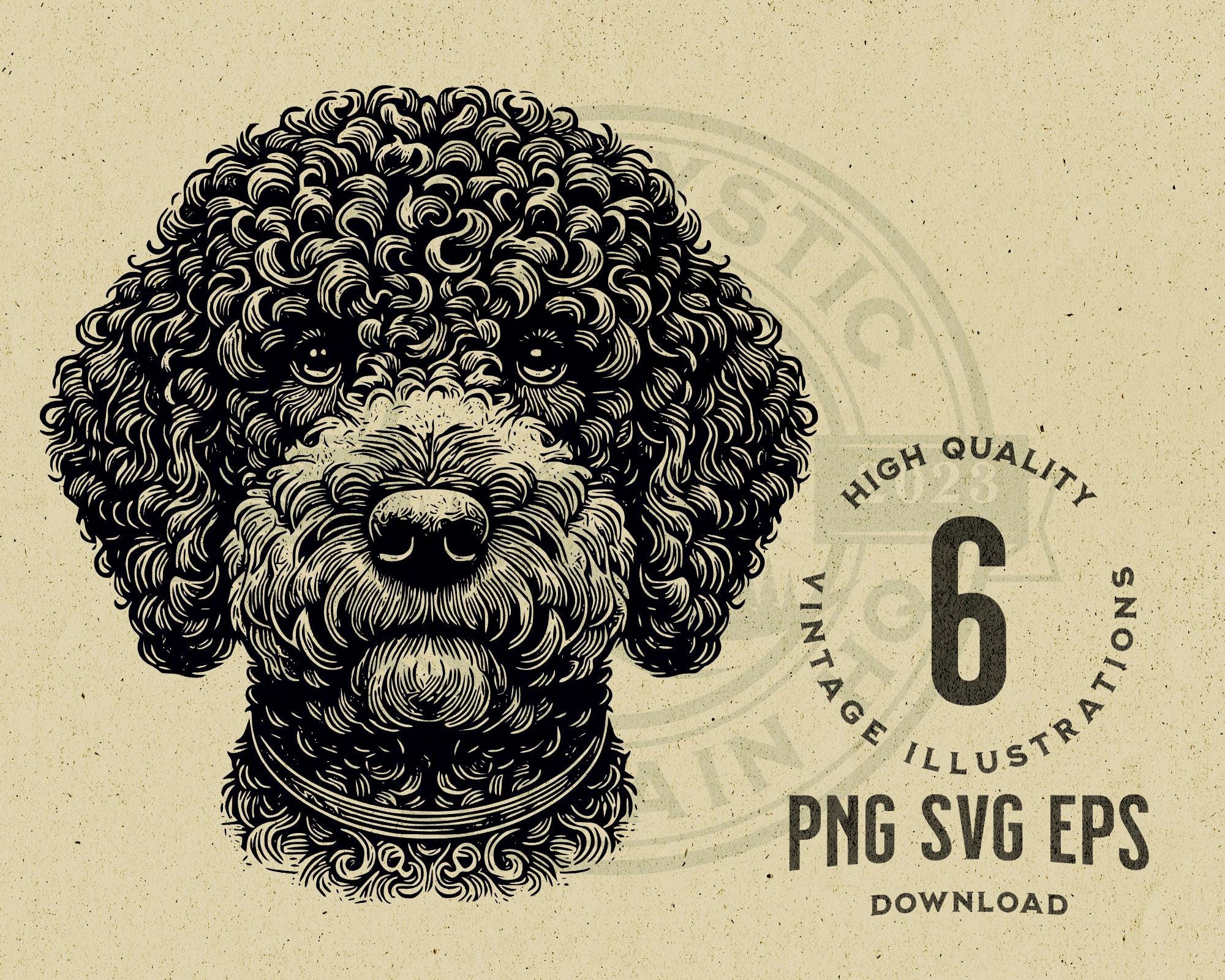 Lagotto Romagnolo Dog Vector Art Illustration Bundle (digital Download ...